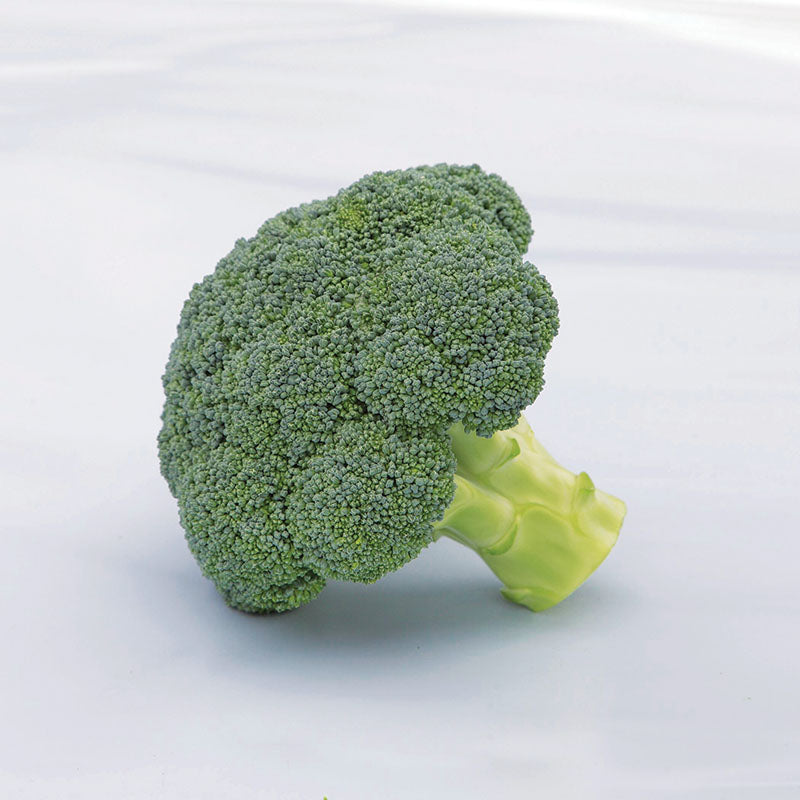 Broccoli Batory F1 Seed – Harris Seeds