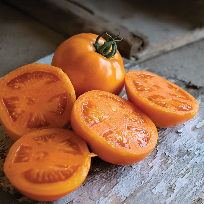 Tomato Bendida F1 Seed – Harris Seeds
