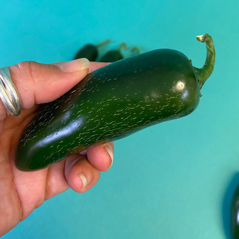 Pepper Black Magic F1 Organic Seed – Harris Seeds