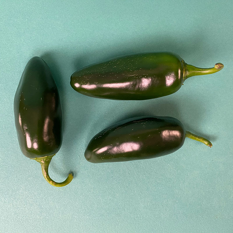 Pepper Black Magic F1 Organic Seed – Harris Seeds
