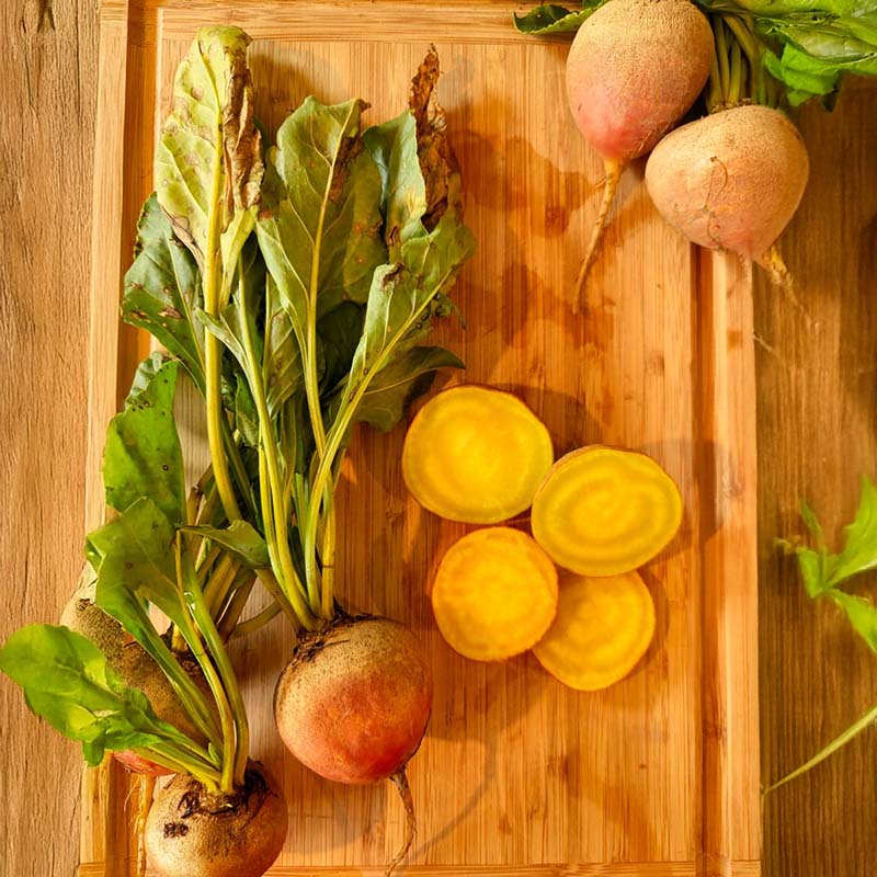 Beet Golden Boy Seed – Harris Seeds