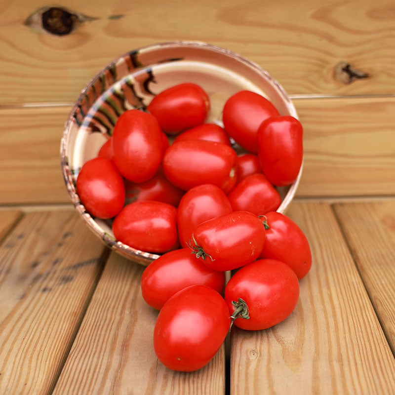 Tomato Atrevido F1 Seed – Harris Seeds