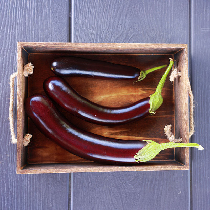Eggplant Turkish Delite F1 Organic Seed – Harris Seeds
