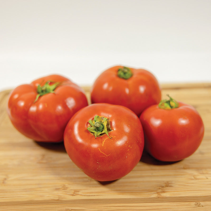 Tomato Maverick F1 Seed – Harris Seeds