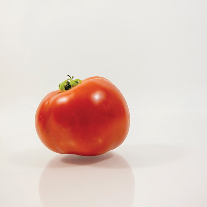 Tomato Maverick F1 Seed – Harris Seeds