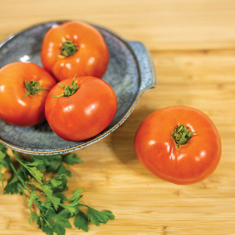 Tomato Maverick F1 Seed – Harris Seeds