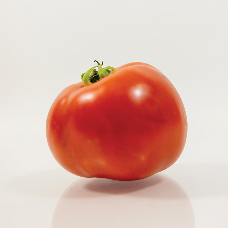 Tomato Maverick F1 Seed – Harris Seeds