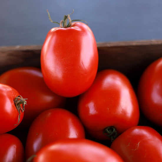 Tomato Inca F1 Seed – Harris Seeds