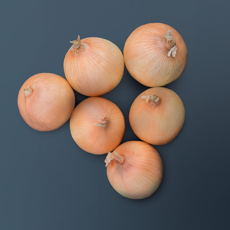 Onion Expression Live Plants – Harris Seeds