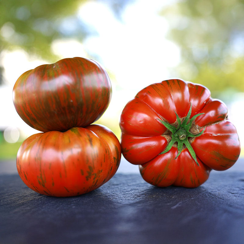 Tomato Beefy Purple Seed – Harris Seeds