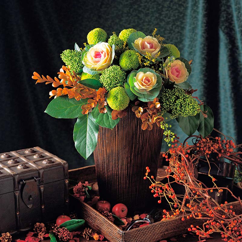 Kale Flower Arrangements Brassica F1 Crane Series Greenhouse