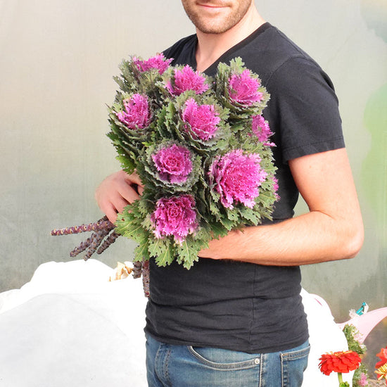 Ornamental Kale Crane Feather Queen F1 Seed – Harris Seeds