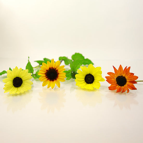 Sunflower Soluna Mix Seed – Harris Seeds