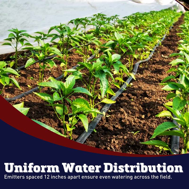 Chapin Irrigation System Efficient Watering With The Chapin Bucket: