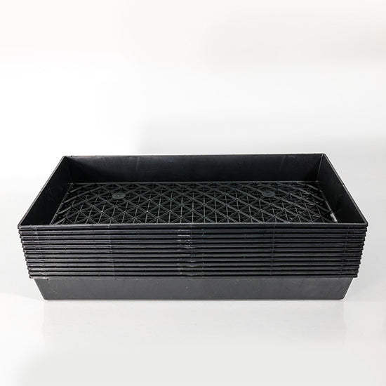 Dillen Web Trays – Harris Seeds