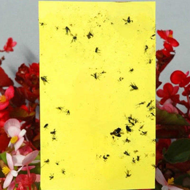 Yellow Sticky Traps 3" x 5" – Harris Seeds