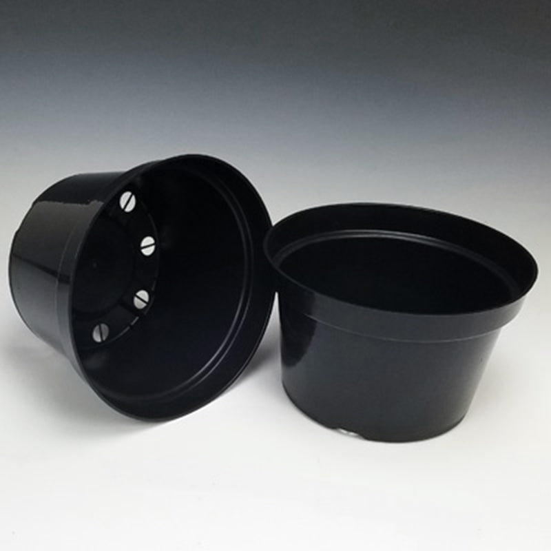 Mum Pan 8" – Harris Seeds