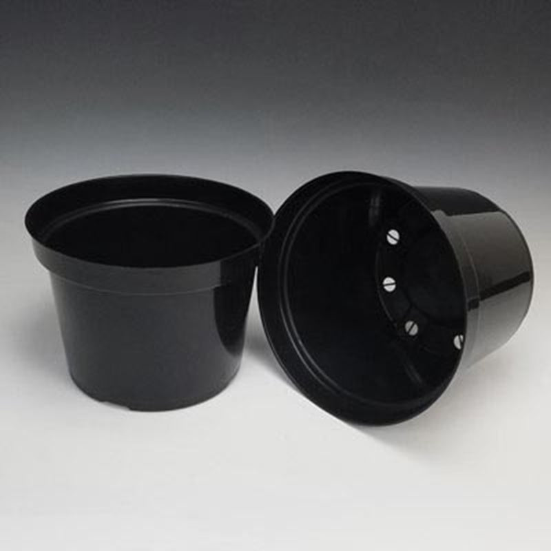 Mum Pan 9" – Harris Seeds