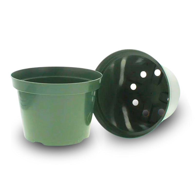 Azalea Pot 4" – Harris Seeds