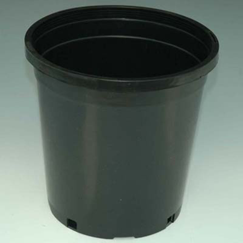 Perennial Pot 1 Gal. – Harris Seeds
