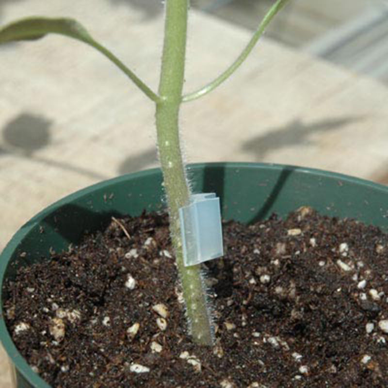 Grafting Clips 1.5 mm (100 ct) – Harris Seeds