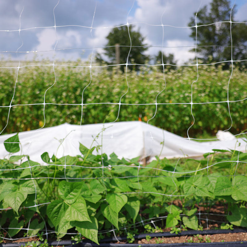 Heavy Duty Support Netting 6.5' x 30' – Harris Seeds