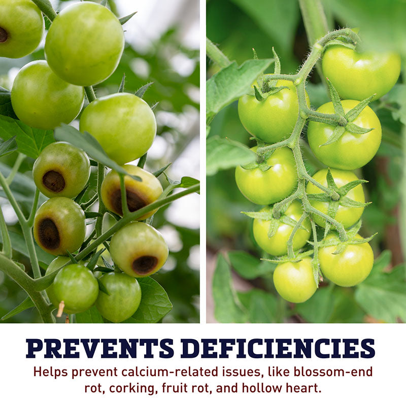 Nutri-Cal 16 oz. Concentrated Fertilizer – Harris Seeds