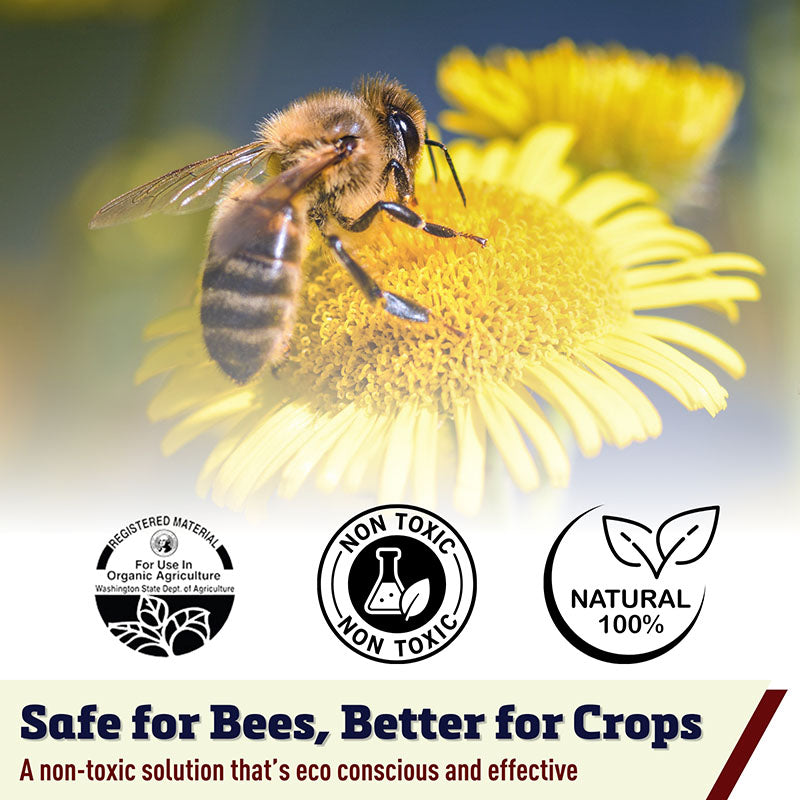 Bee-Scent Attractant 16 oz. – Harris Seeds