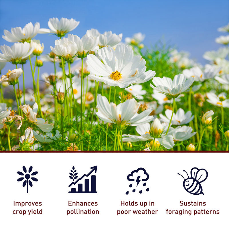 Bee-Scent Attractant 16 oz. – Harris Seeds