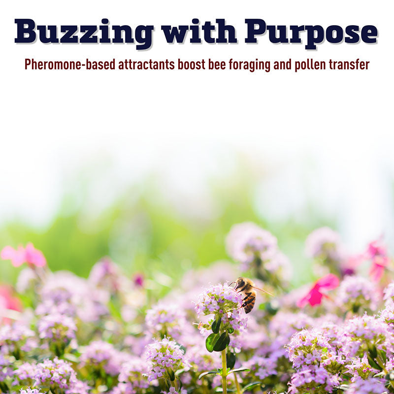 Bee-Scent Attractant 16 oz. – Harris Seeds