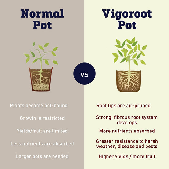 Haxnicks Vigoroot Pots 20L 3 pack – Harris Seeds