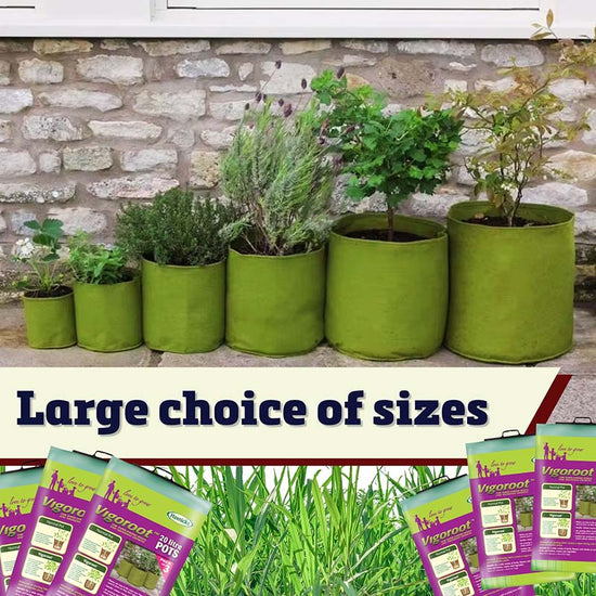 Haxnicks Vigoroot Pots 20L 3 pack – Harris Seeds