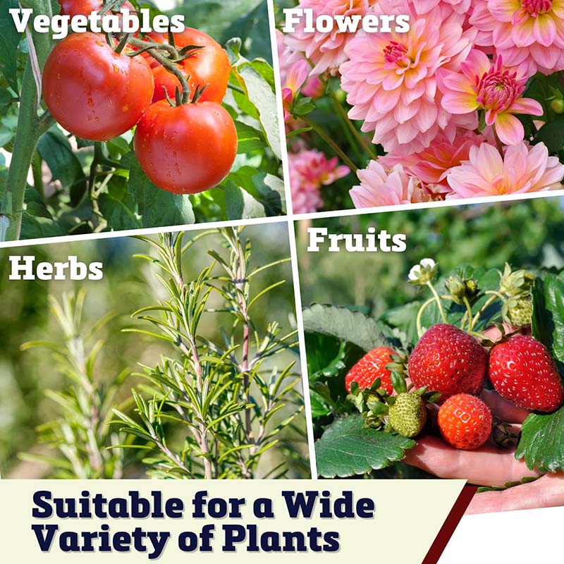 Haxnicks Vigoroot Pots 20L 3 pack – Harris Seeds