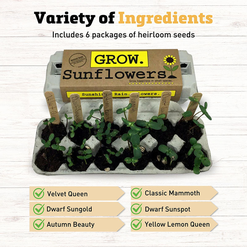 Grow Gardens Grow Sunflowers Kit – Harris Seeds