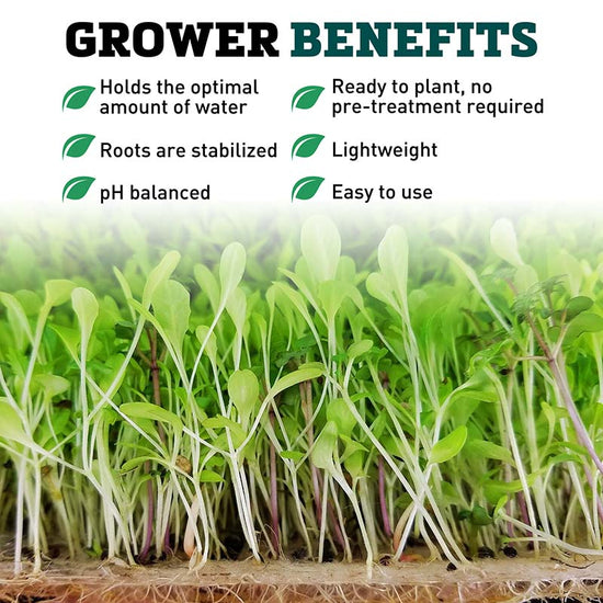Biostrate 185 Felt Sheets – Harris Seeds