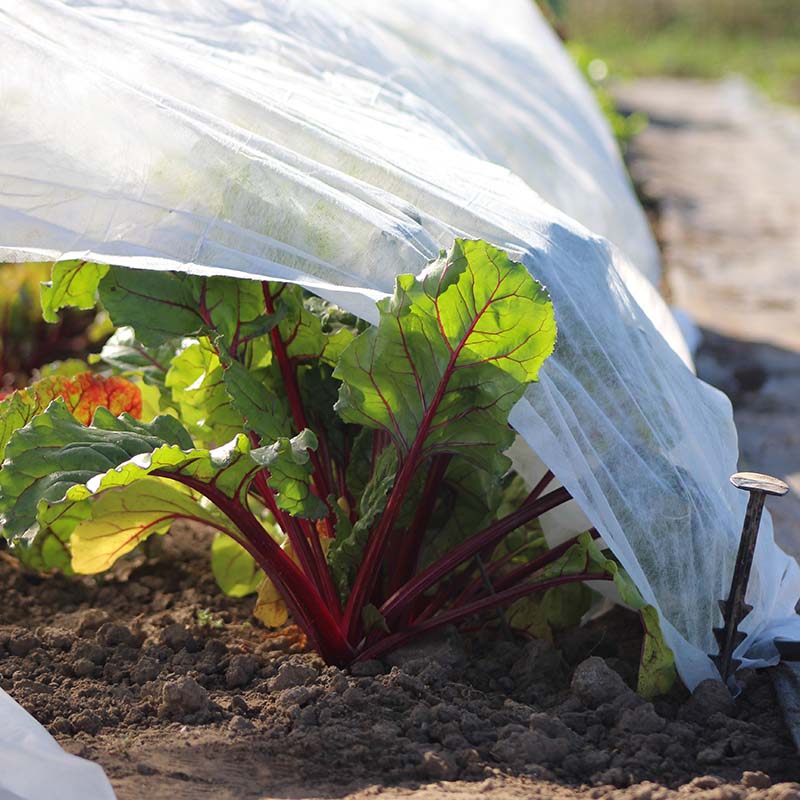 Row Cover Agribon AG-15 118" x 250' – Harris Seeds