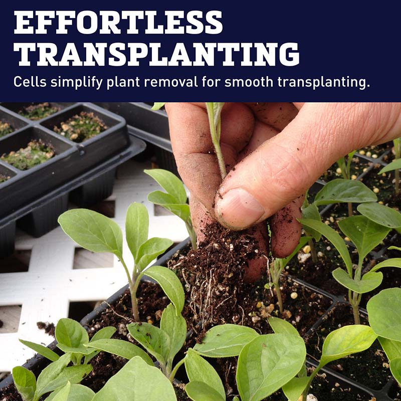 128 Deep Cell Plug Trays – Harris Seeds