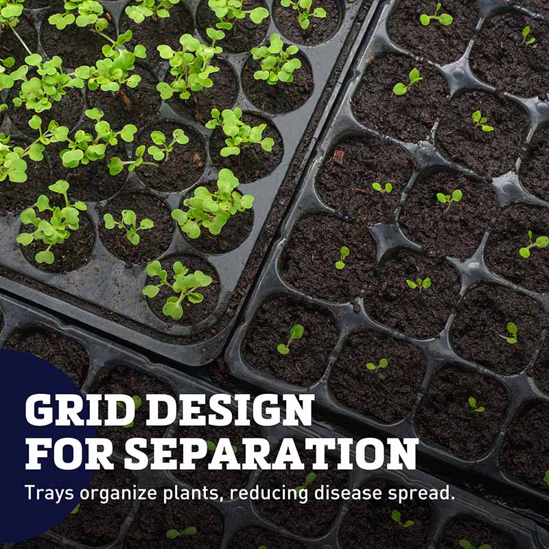 128 Deep Cell Plug Trays – Harris Seeds