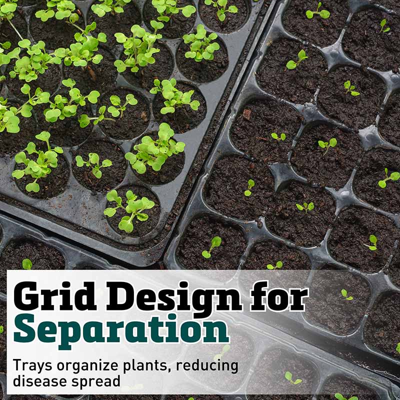 128 Deep Cell Plug Trays – Harris Seeds