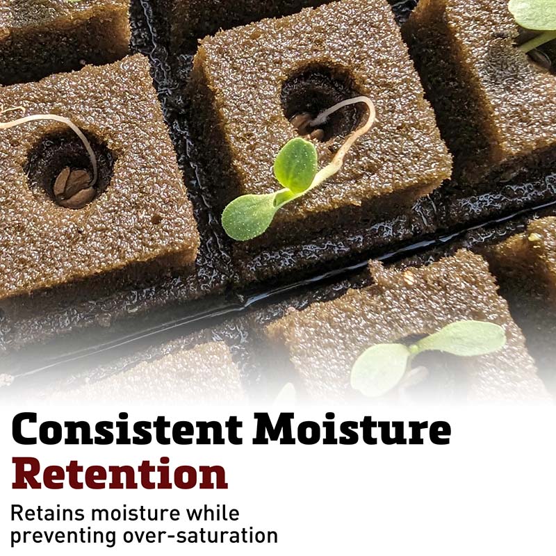 Oasis Horticubes® Grow Cubes 276ct Sheet – Harris Seeds