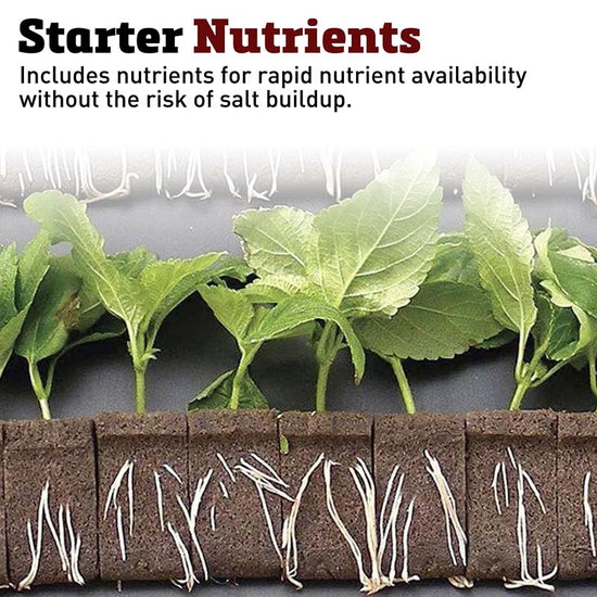 Oasis Rootcubes® Grow Cubes 50ct Sheet – Harris Seeds