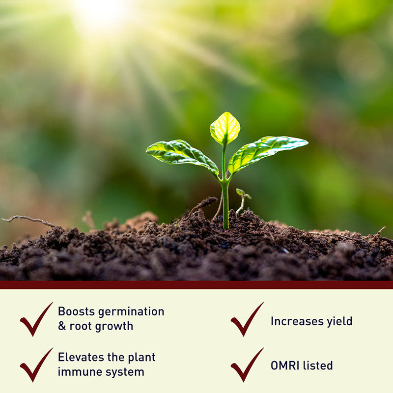 Exceed Soybean Organic Inoculant 15 oz. – Harris Seeds