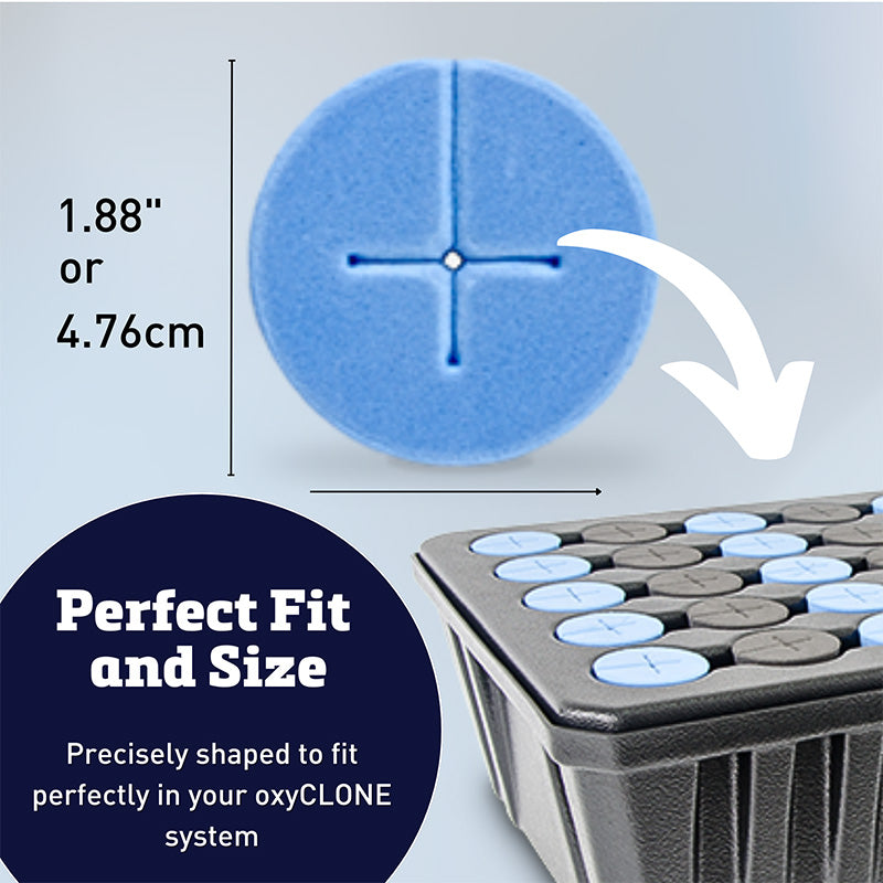 oxyCLONE oxyCERTS Blue 1-7/8" – Harris Seeds