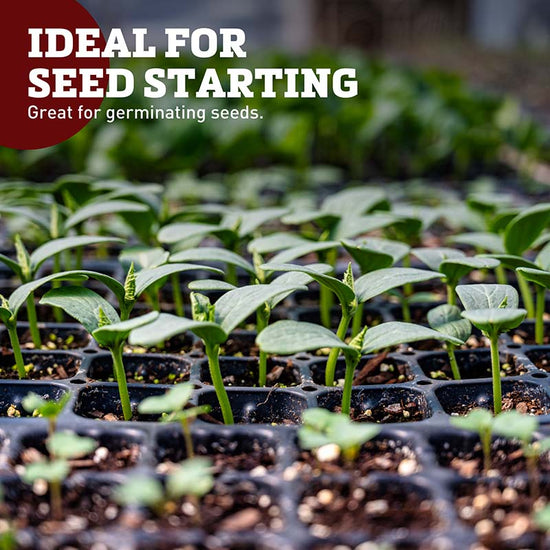 72 Cell Plug Trays – Harris Seeds
