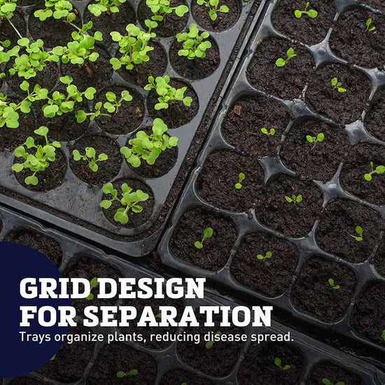 72 Cell Plug Trays – Harris Seeds