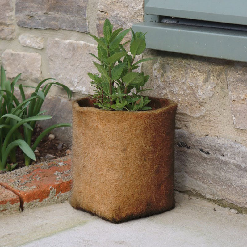 Natural Hemp Fibre Pot 5 Liter – Harris Seeds