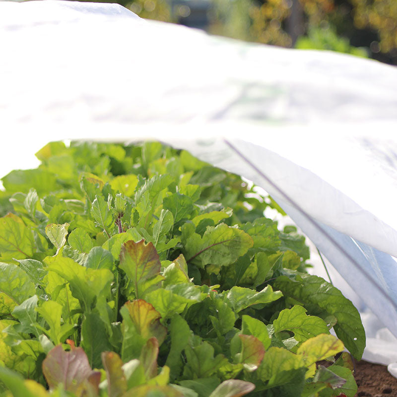 Row Cover Agribon AG-30 10' X 250' – Harris Seeds