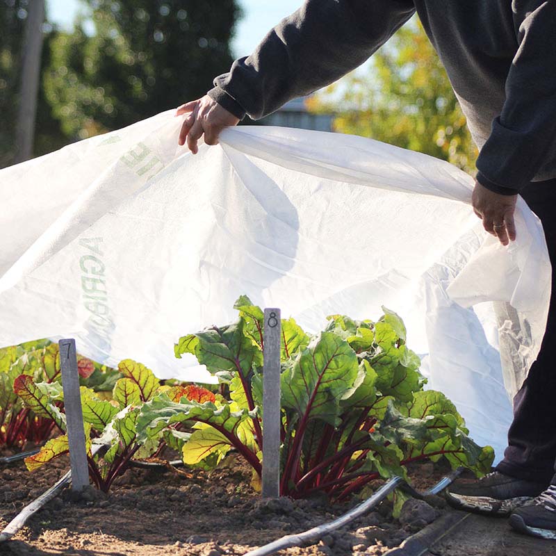 Row Cover Agribon AG-19 10' X 250' – Harris Seeds