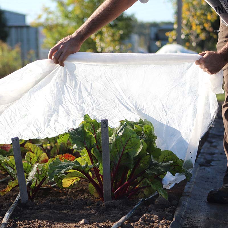 Row Cover Agribon AG-19 30' X 100' – Harris Seeds
