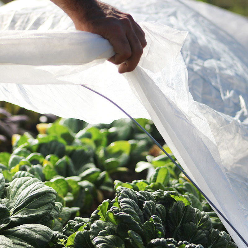 Row Cover Agribon AG-19 30' X 100' – Harris Seeds